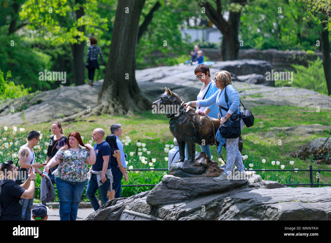 New York, USA - May 8, 2018 : Scenery of Central Park at spring in NYC ...