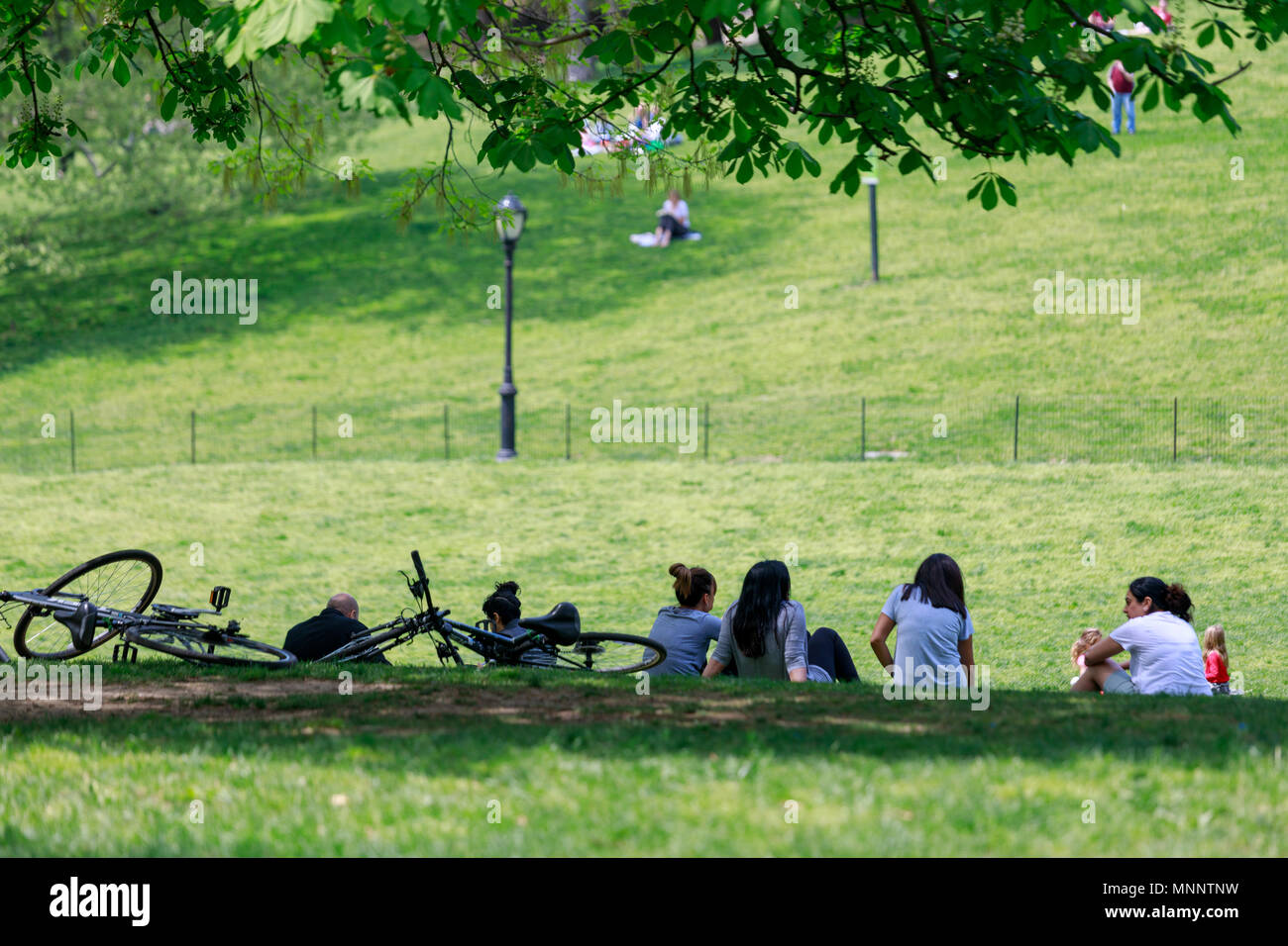New York, USA - May 8, 2018 : Scenery of Central Park at spring in NYC ...
