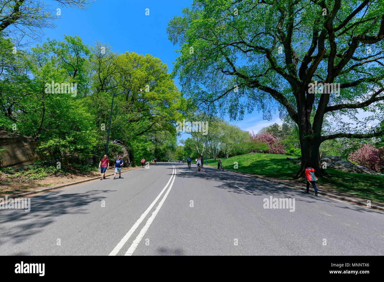 New York, USA - May 8, 2018 : Scenery of Central Park at spring in NYC ...