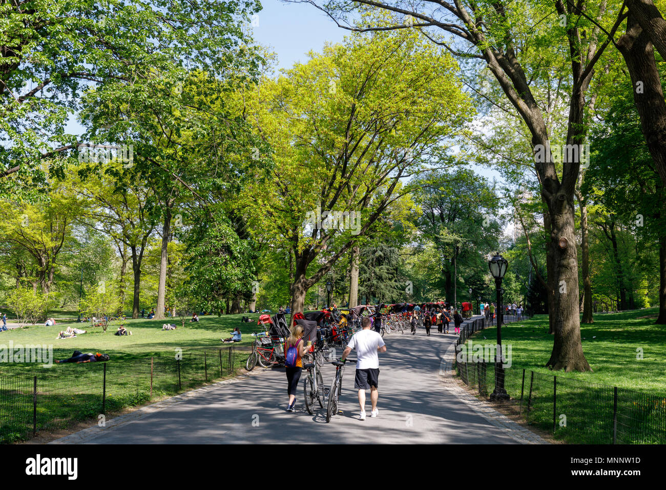 New York, USA - May 8, 2018 : Scenery of Central Park at spring in NYC ...
