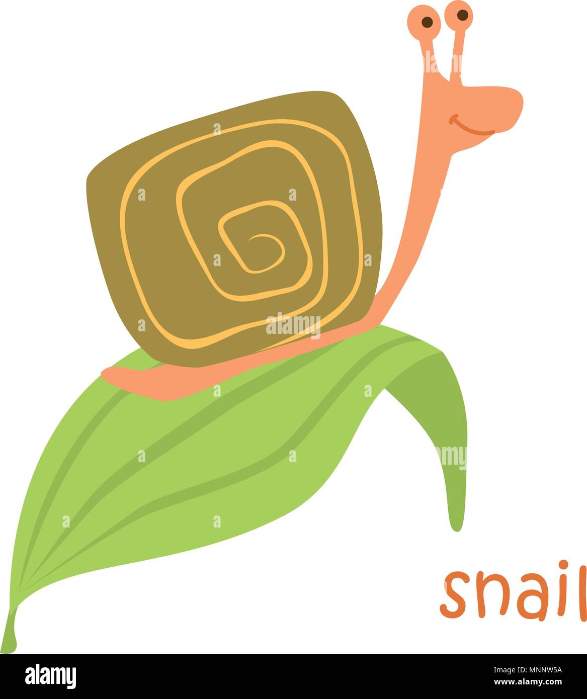 Snail isolated. Drawing snail for a child Stock Vector Image & Art - Alamy