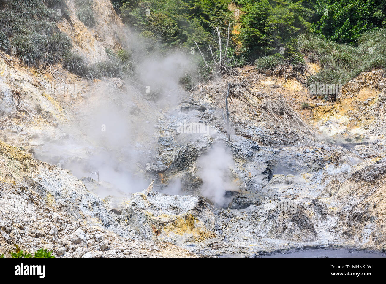 View of Drive-In Volcano Sulphur Springs on the Caribbean island of St ...