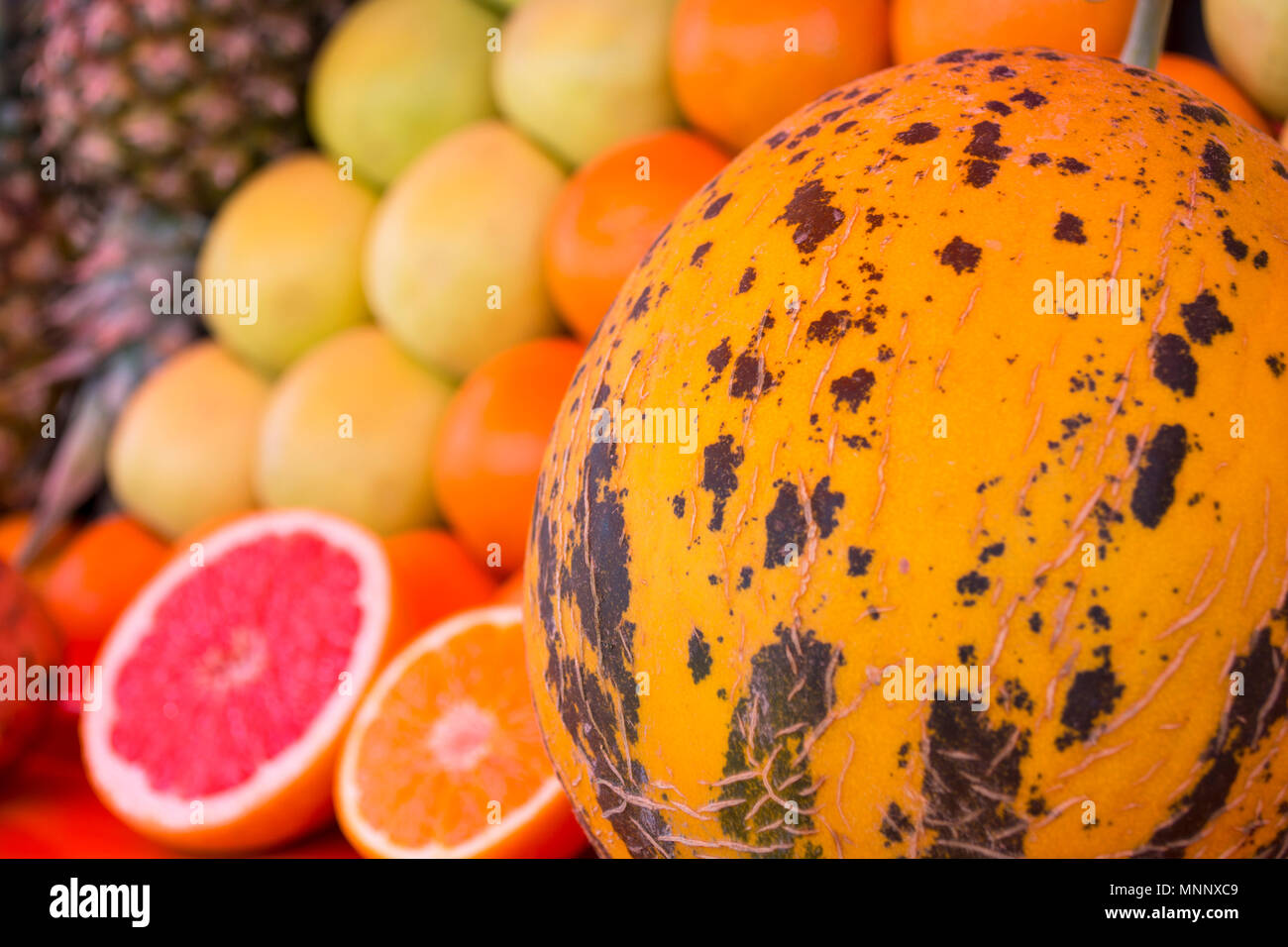 Melon on Set of red, orange and yellow fruits-pineapple,citrus,bananas ...