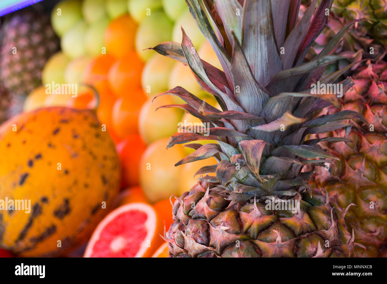 Set of red, orange and yellow fruits-pineapple,citrus,bananas on ...