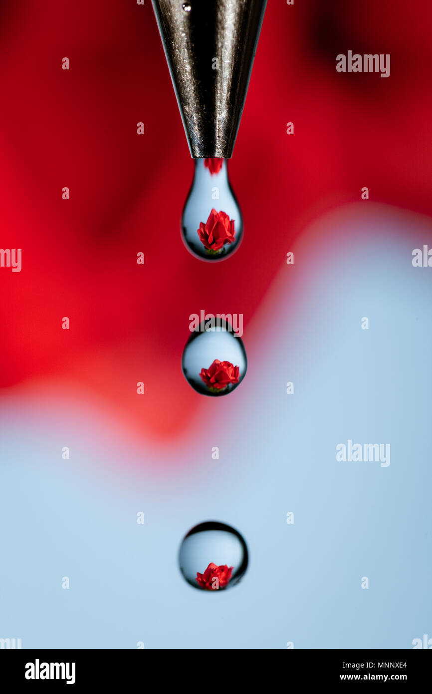 Refracted water drop hi-res stock photography and images - Alamy