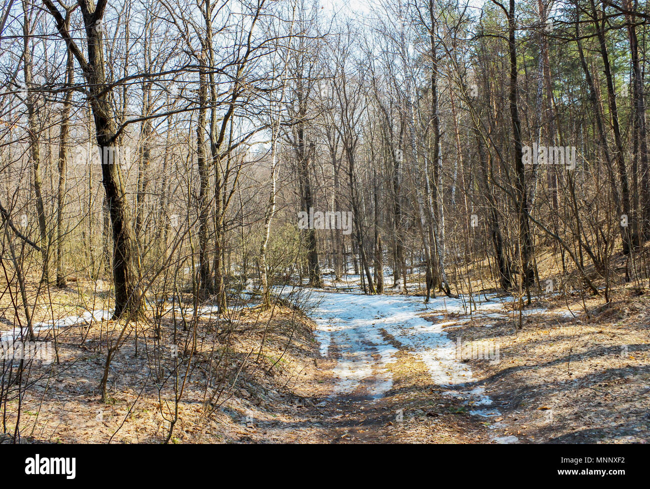 Remains Of Snow High Resolution Stock Photography and Images - Alamy