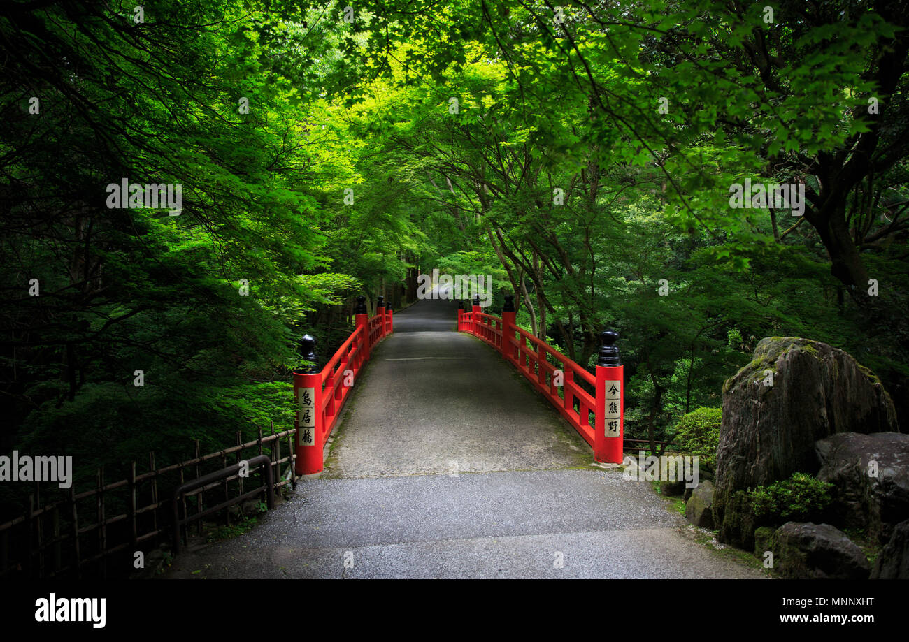 Imakumano kannonji hi-res stock photography and images - Alamy