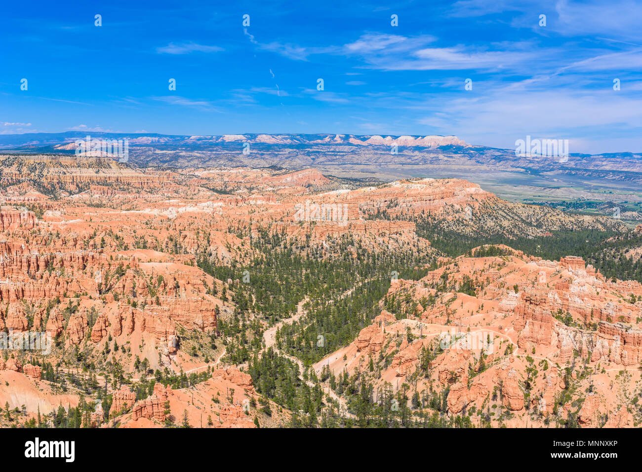 Scenic view of red sandstone hoodoos in Bryce Canyon National Park in ...