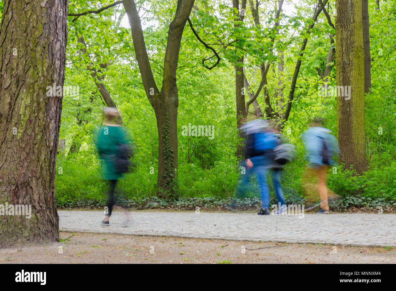 Recreation people person hi-res stock photography and images - Alamy