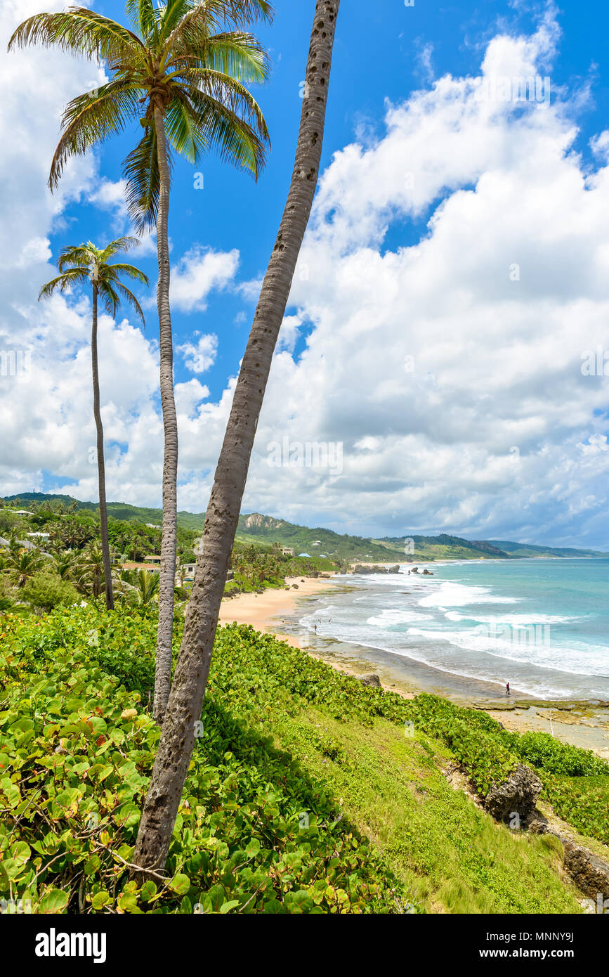 Rock formation on the beach of Bathsheba, East coast of island Barbados ...