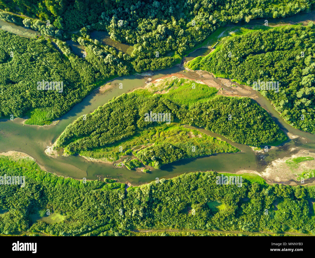 Aerial view of forest and river Stock Photo - Alamy