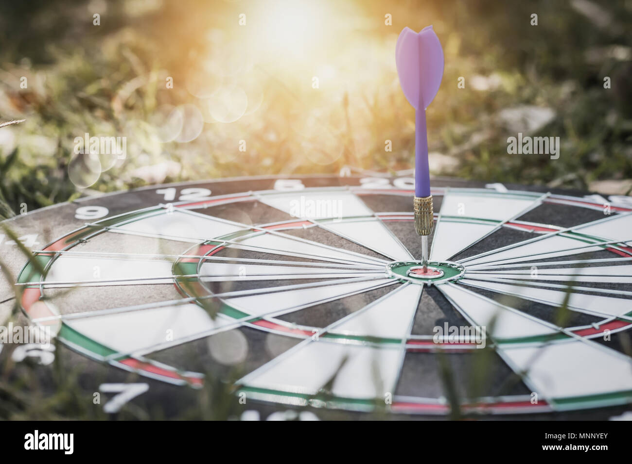 dart on board on grass background, concept as success and goal Stock ...