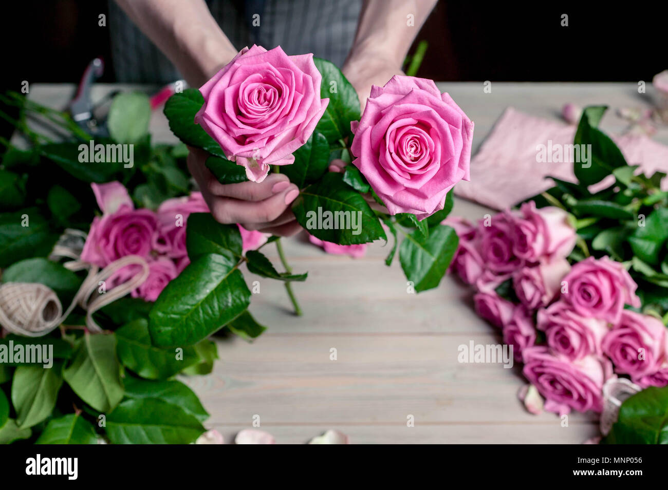 Graceful female hands collect a bouquet of pink roses. Florist at work ...