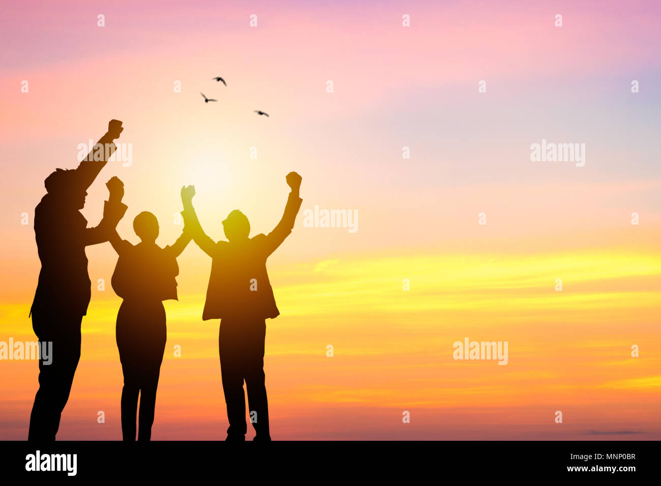 Team work and succes concept, silhouette business people corporate and ...