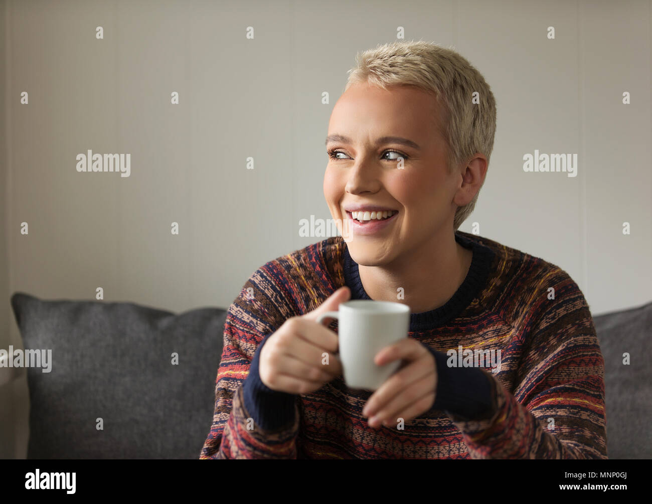 Iceland model home hi-res stock photography and images - Alamy