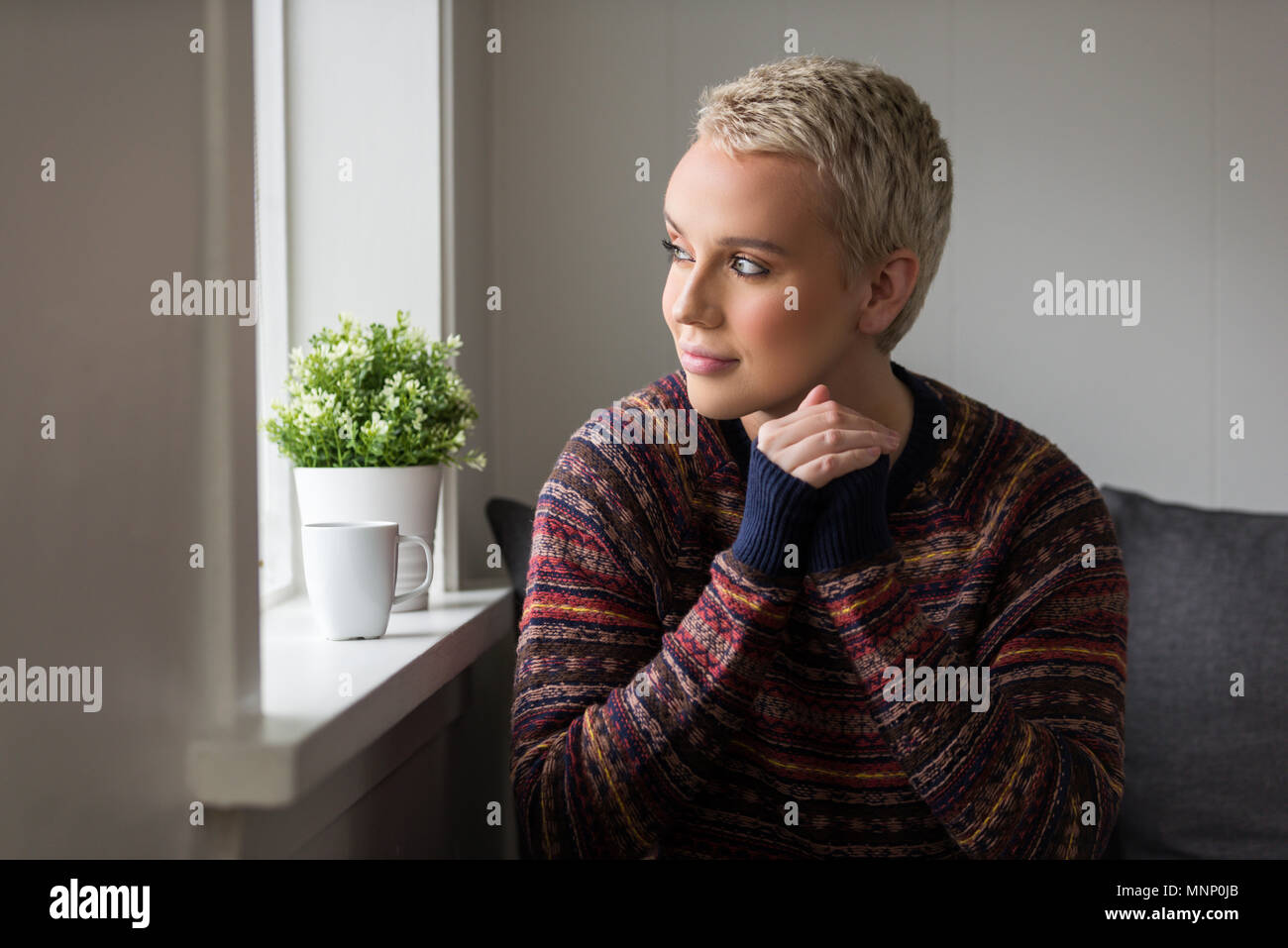 Iceland model home hi-res stock photography and images - Alamy