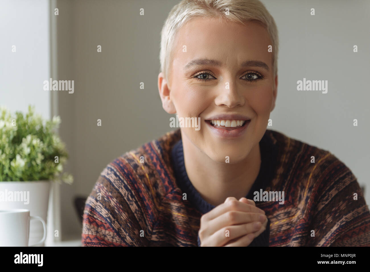 Iceland model home hi-res stock photography and images - Alamy