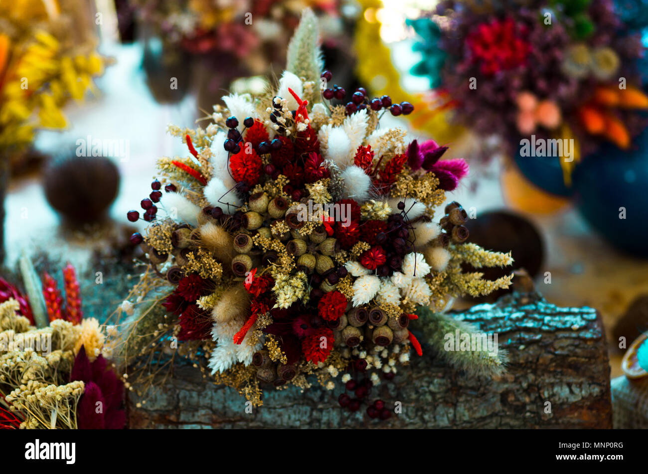Colorful dried flowers on a wooden log Stock Photo - Alamy