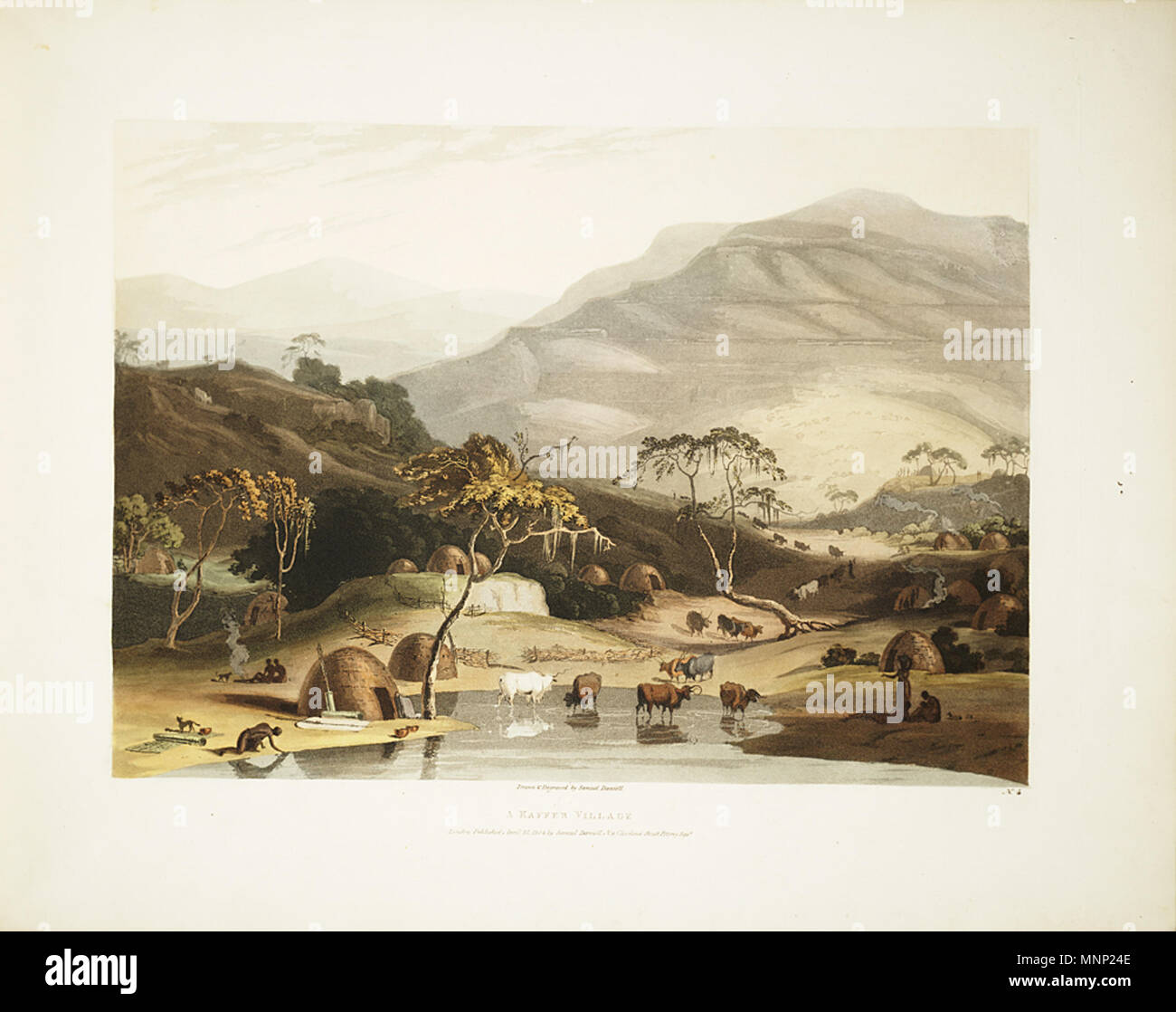 Kaffer hi-res stock photography and images - Alamy