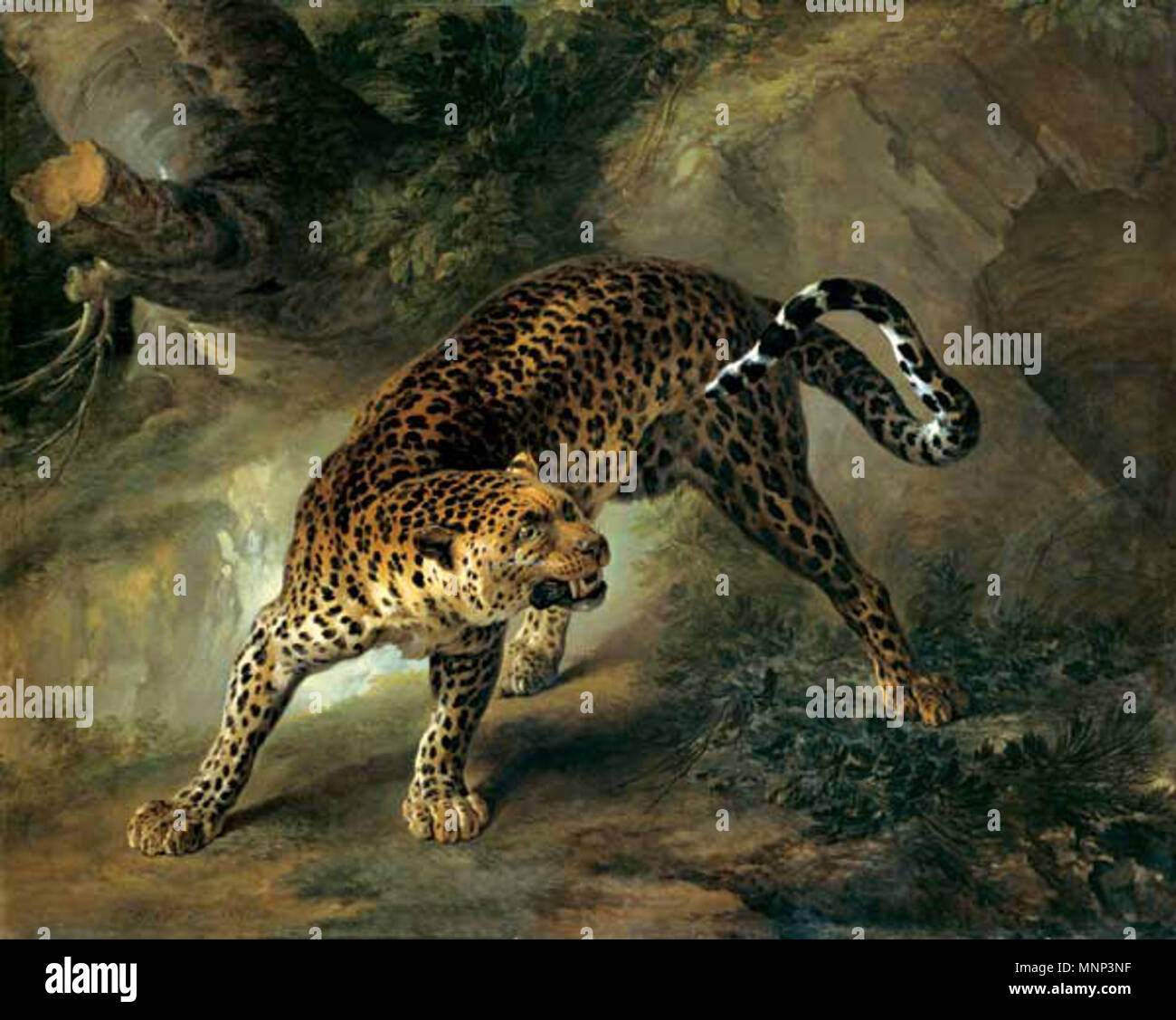 Jean baptiste oudry leopard hi-res stock photography and images - Alamy