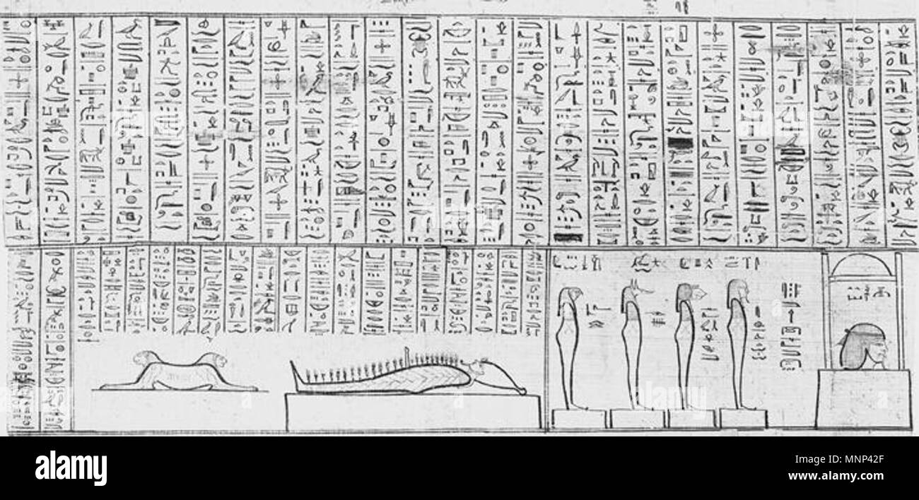 . English: Papyrus . 2 August 2013, 07:25:40. Unknown 952 P.J Stock ...