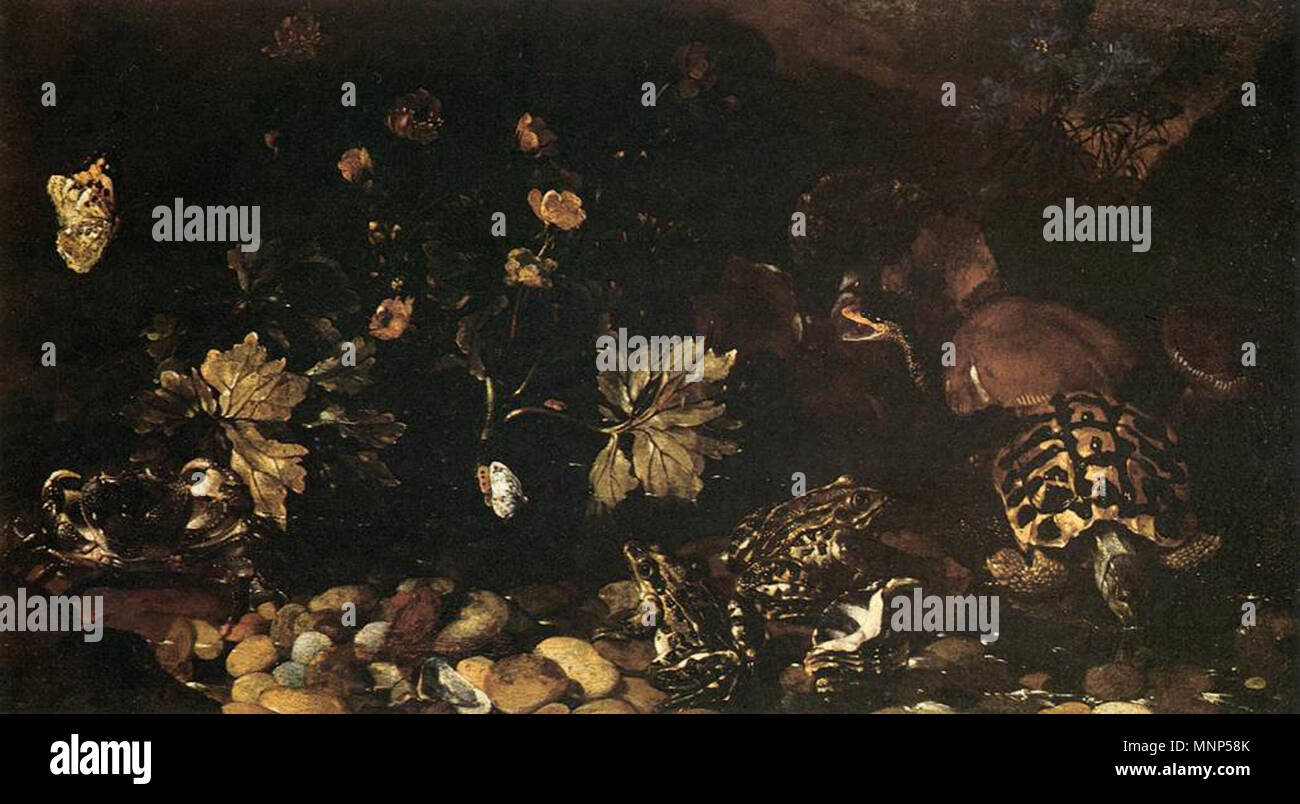Still-Life with a Snake, Frogs, Tortoise and a Lizard second half of ...