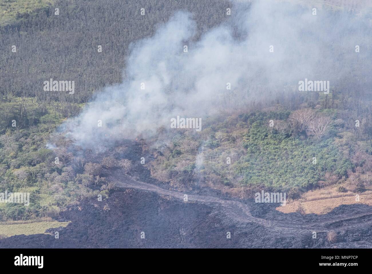 Hilo, Hawaii, USA. 18th May, 2018. An aerial view of lava burning trees ...