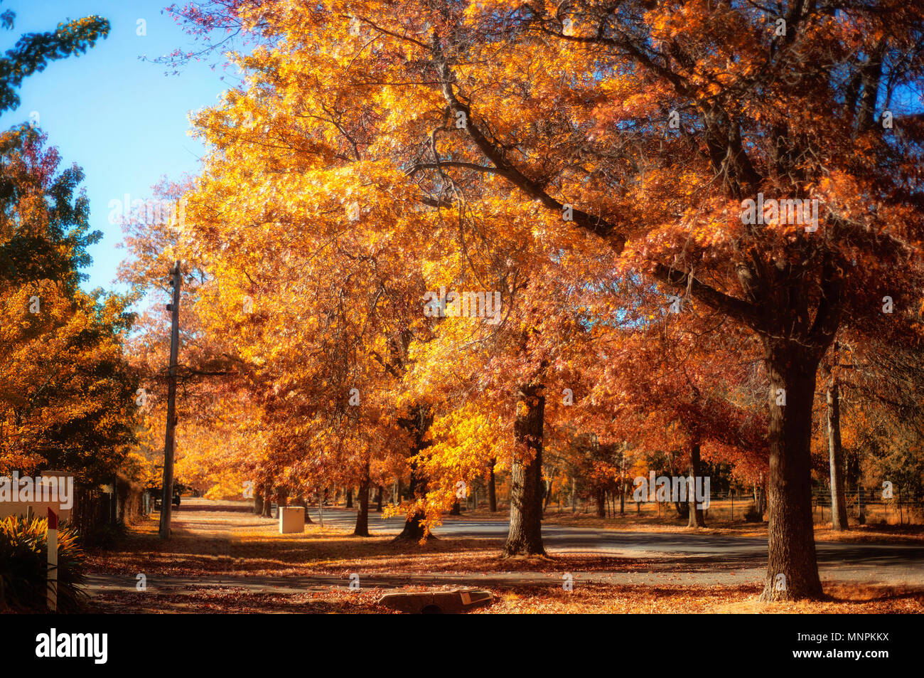 Macedon Victoria High Resolution Stock Photography and Images - Alamy