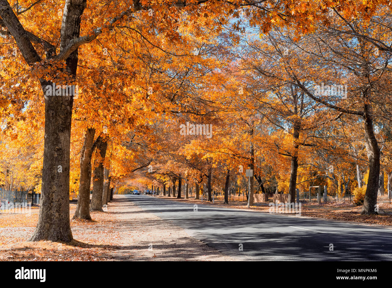 Macedon victoria hi-res stock photography and images - Alamy