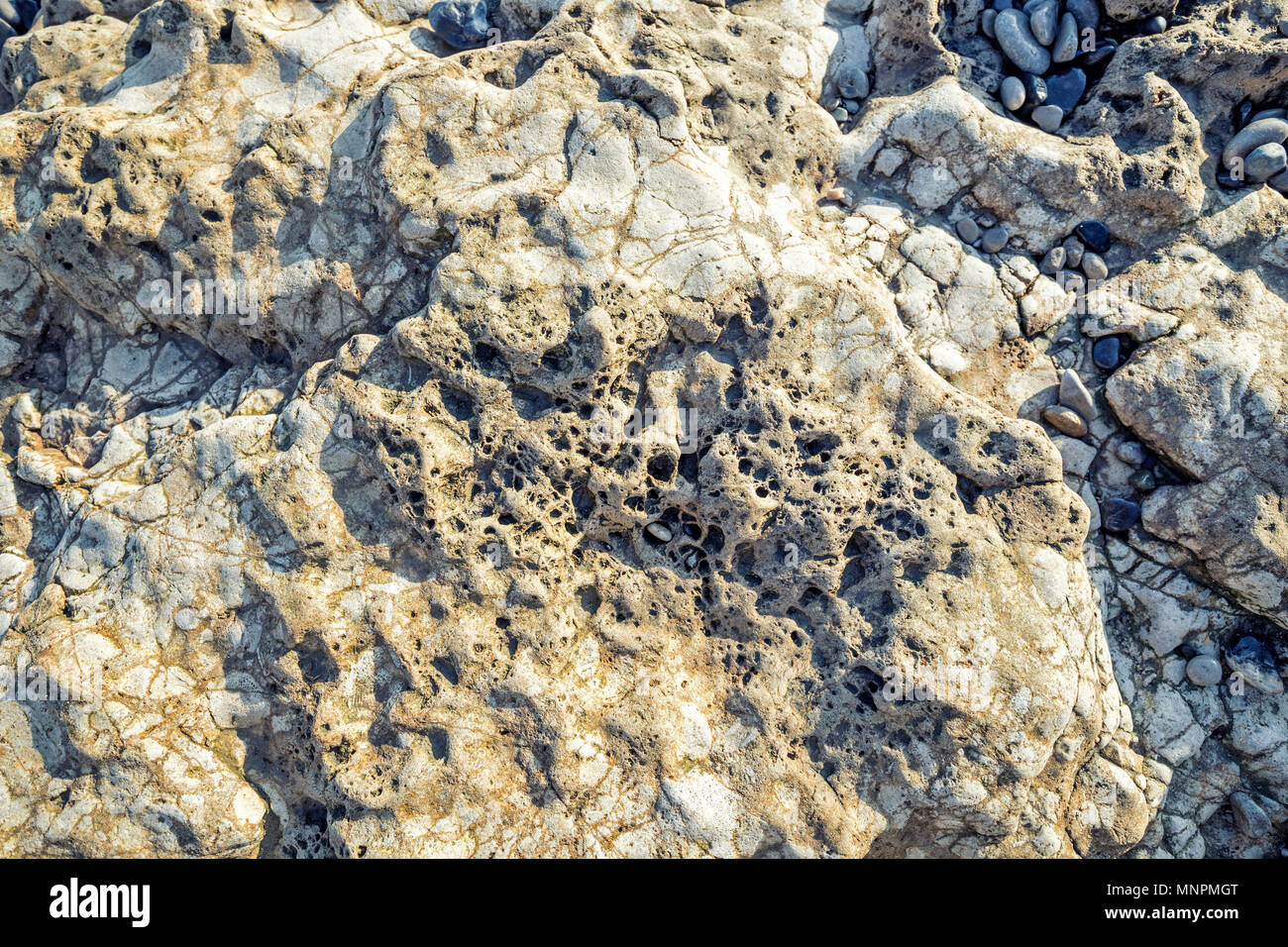 Surface of heavilly eroded marine cliff rock in brown-grey colours ...