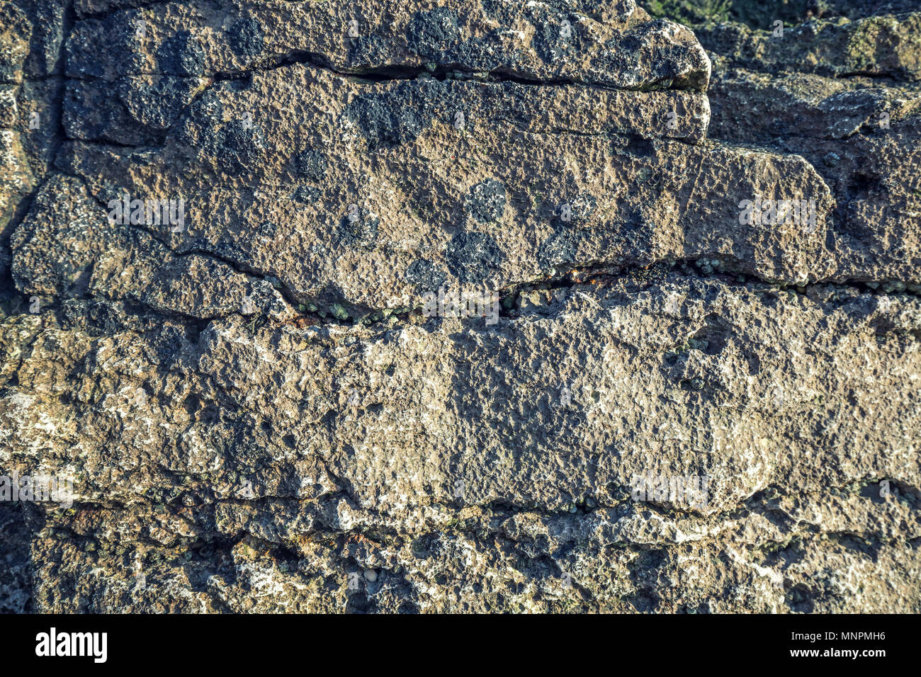 Surface of heavilly eroded marine cliff rock in grey colours Stock ...