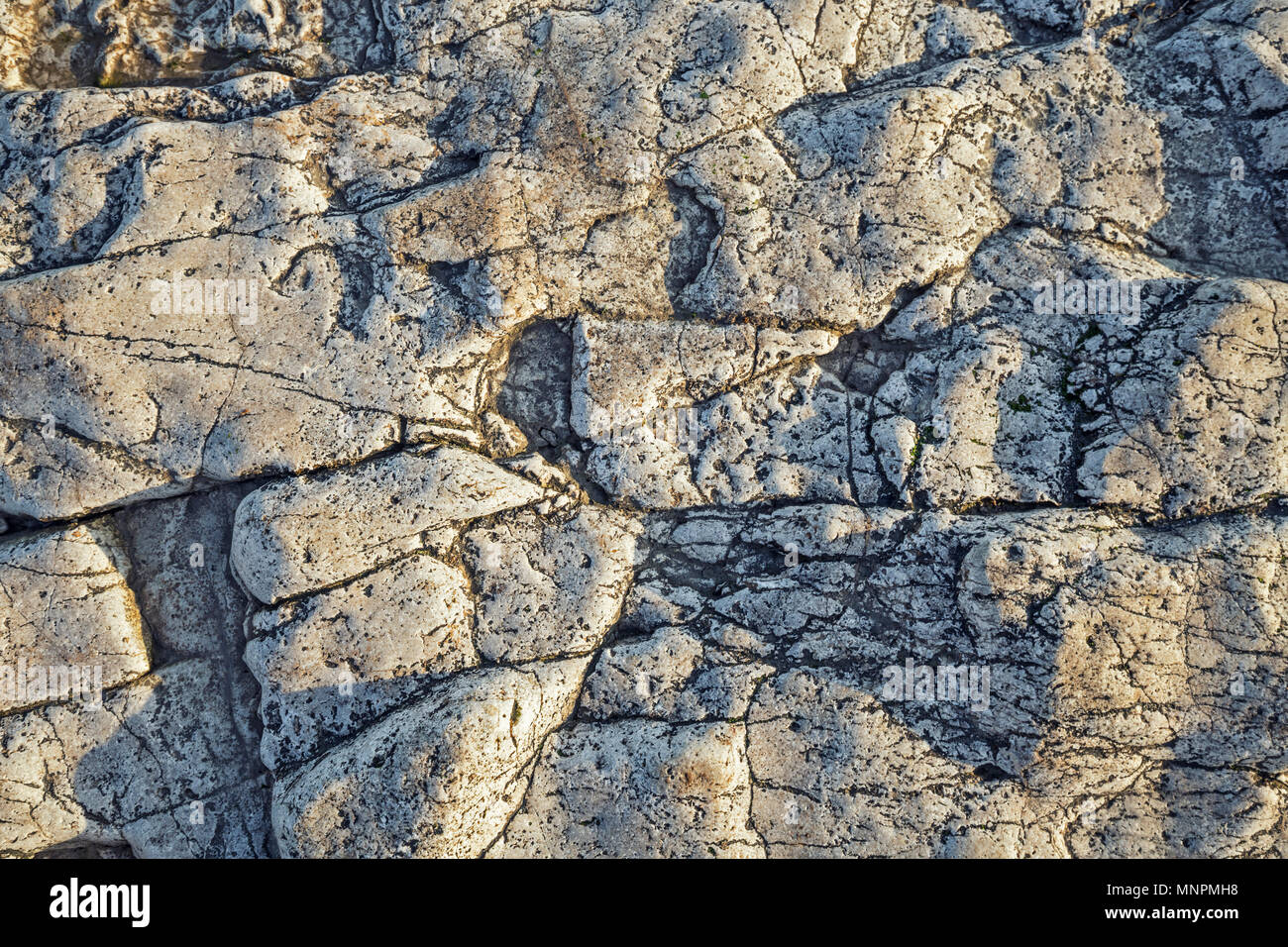 Surface of heavilly eroded marine cliff rock in brown-grey colours ...