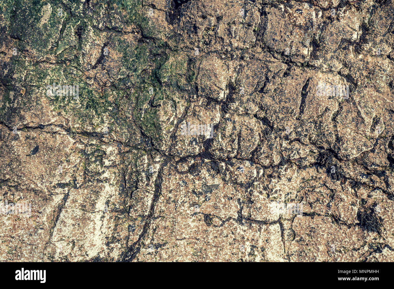 Surface of heavilly eroded marine cliff rock in brown-grey colours ...