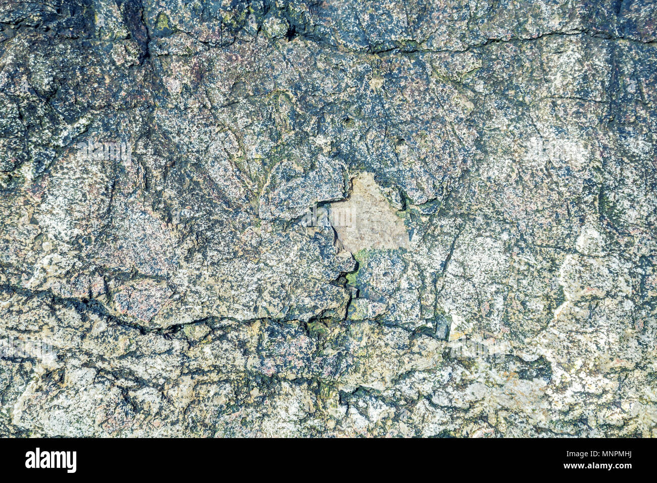 Surface of heavilly eroded marine cliff rock in grey colours Stock ...