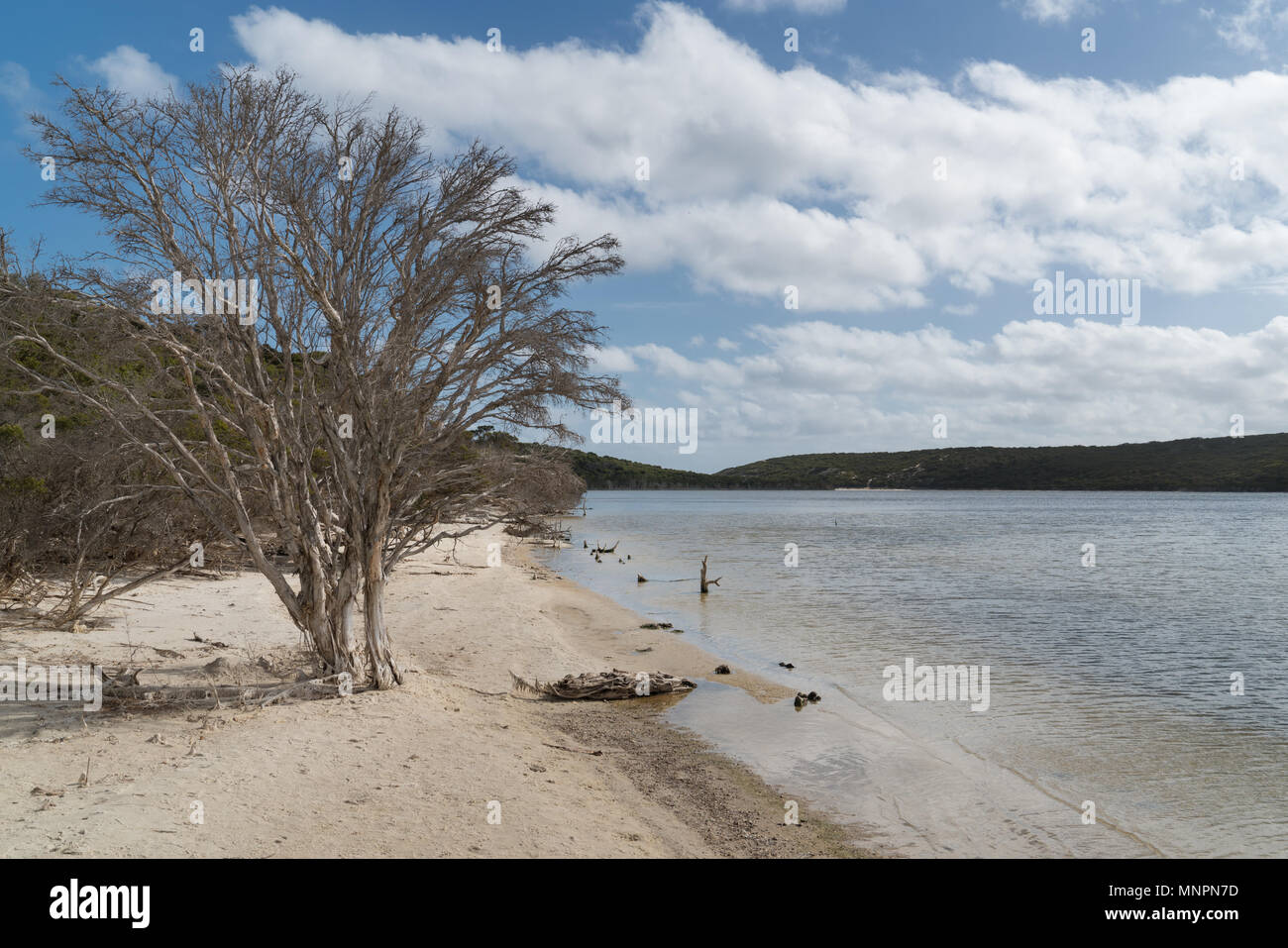 Hamersley Inlet, beautiful place within the Fitzgerald River National ...