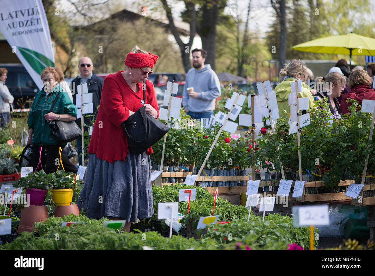 The Plant Parade in the beautiful Latvian city Sigulda. People buy and ...