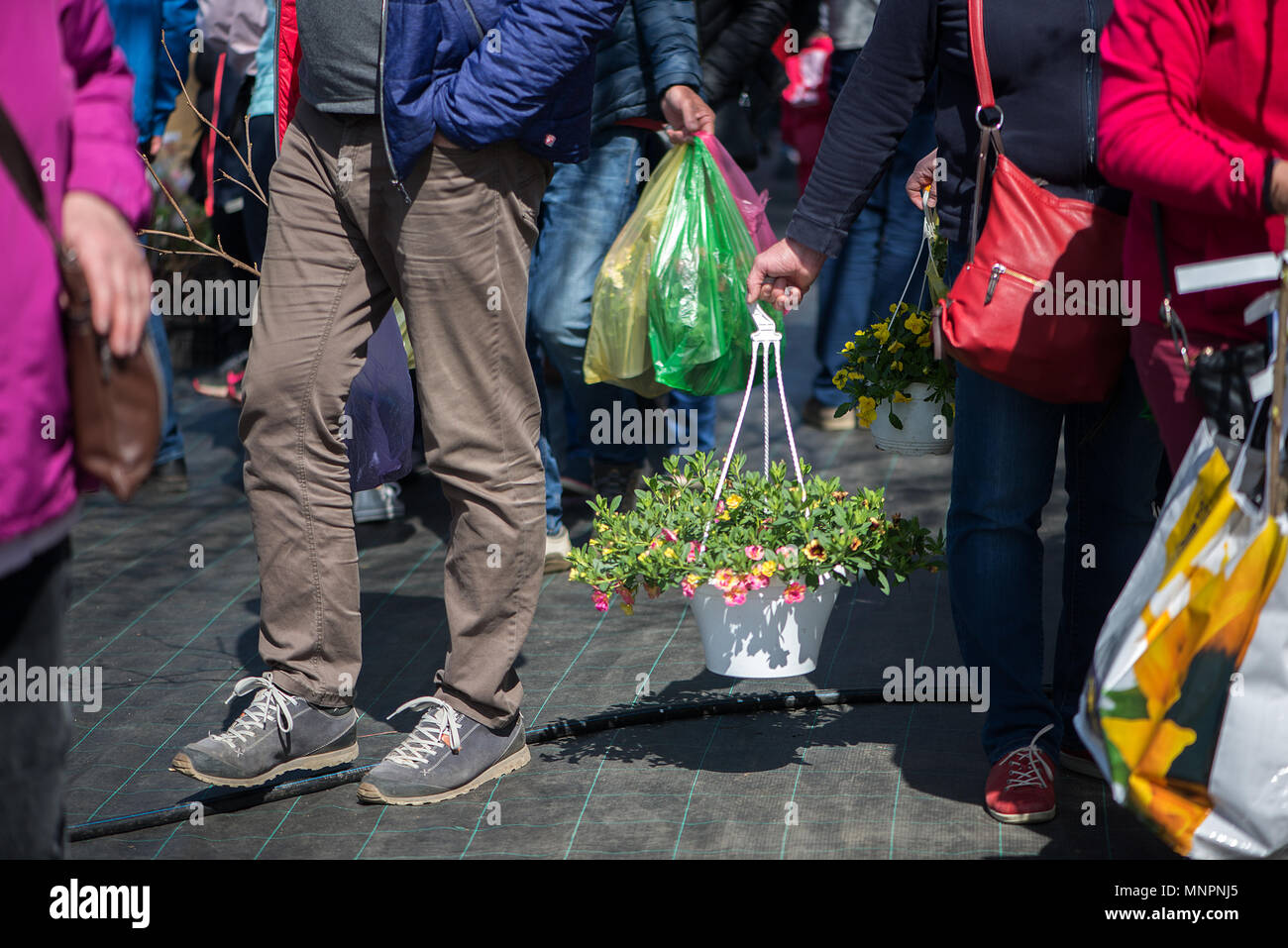 The Plant Parade in the beautiful Latvian city Sigulda. People buy and ...
