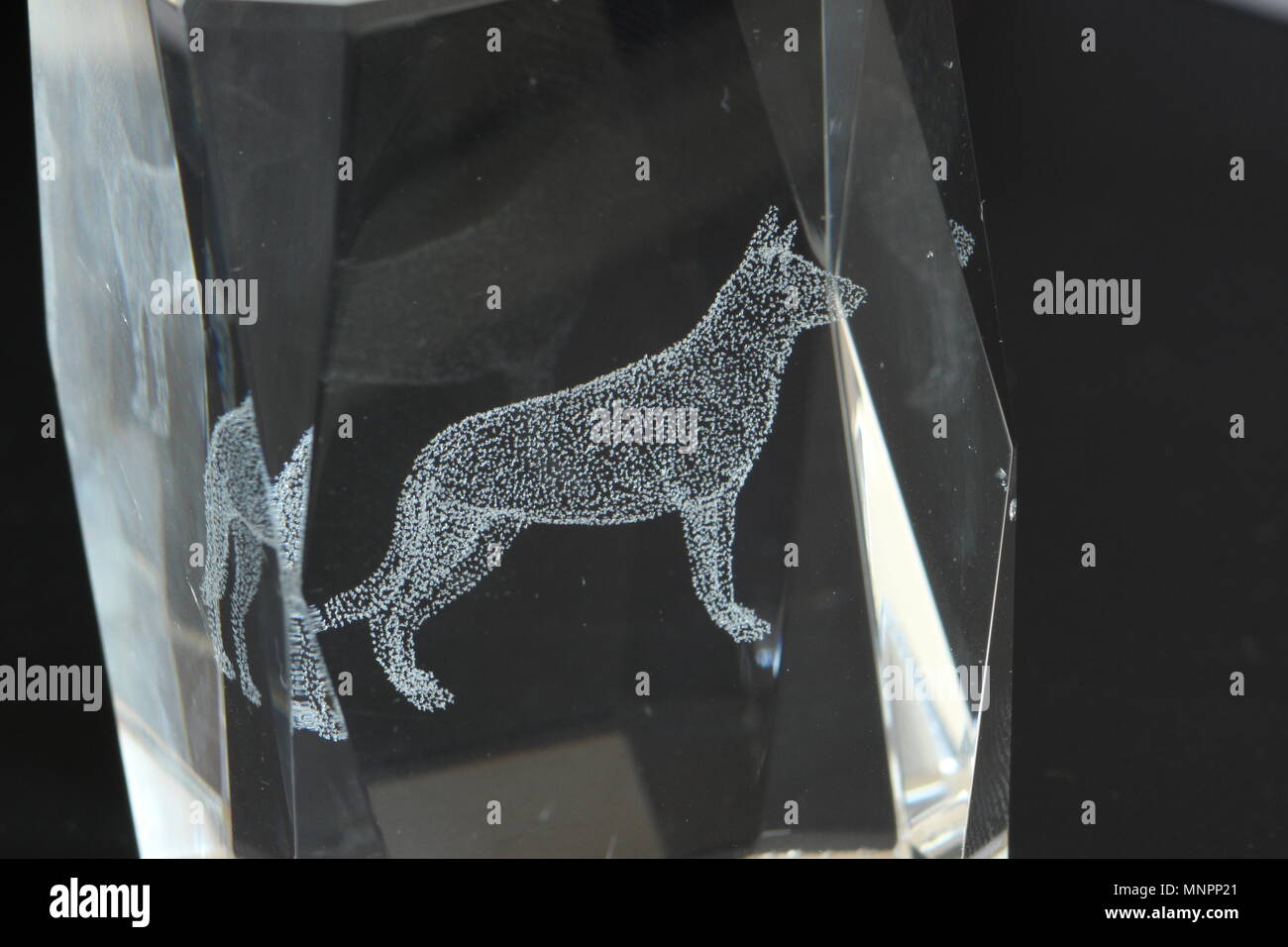 GSD in Glass Stock Photo - Alamy