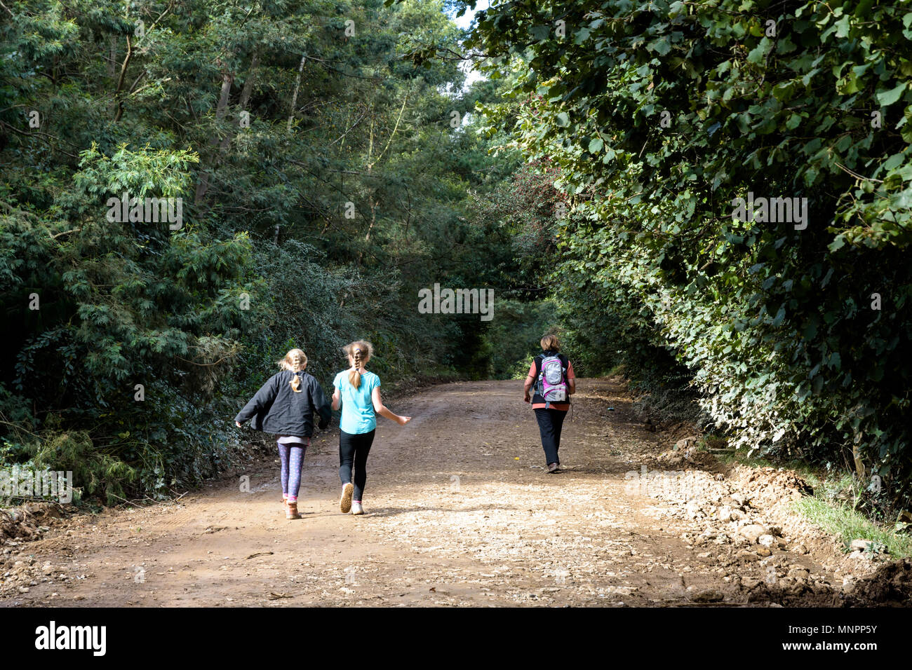 Family hiking in the forest around Hogsback, South Africa Stock Photo ...