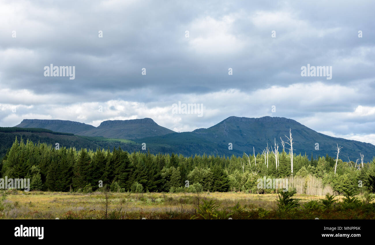 Hogsback hi-res stock photography and images - Alamy