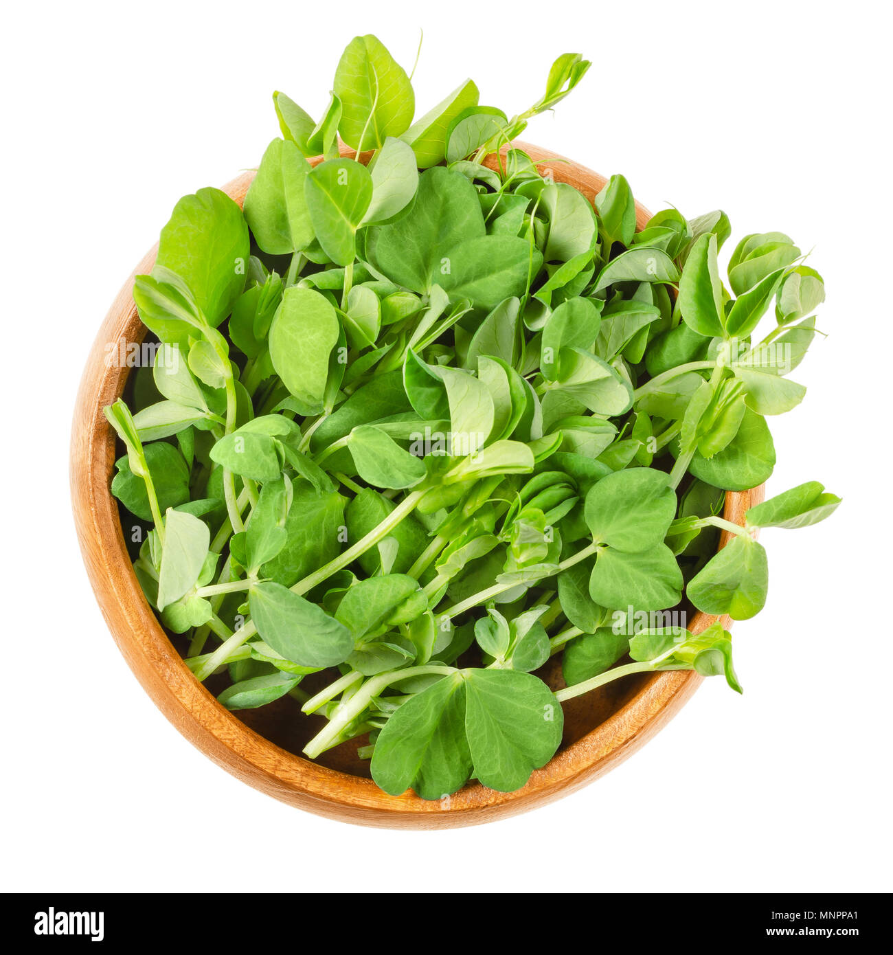 Snow pea plant hi-res stock photography and images - Alamy