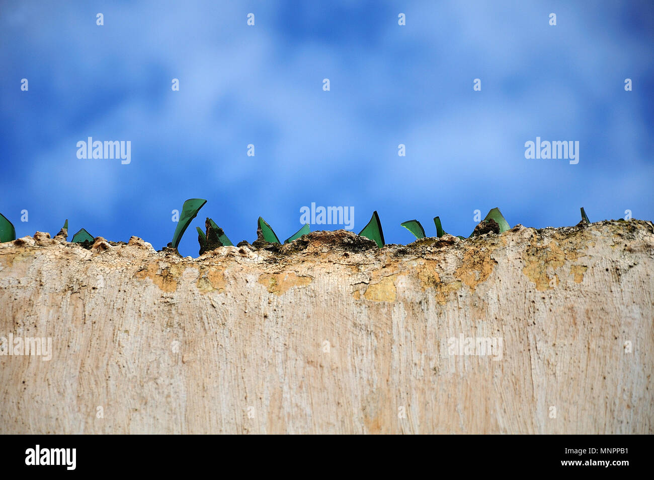 burglar repellent installation with broken glass bricked on top of a ...