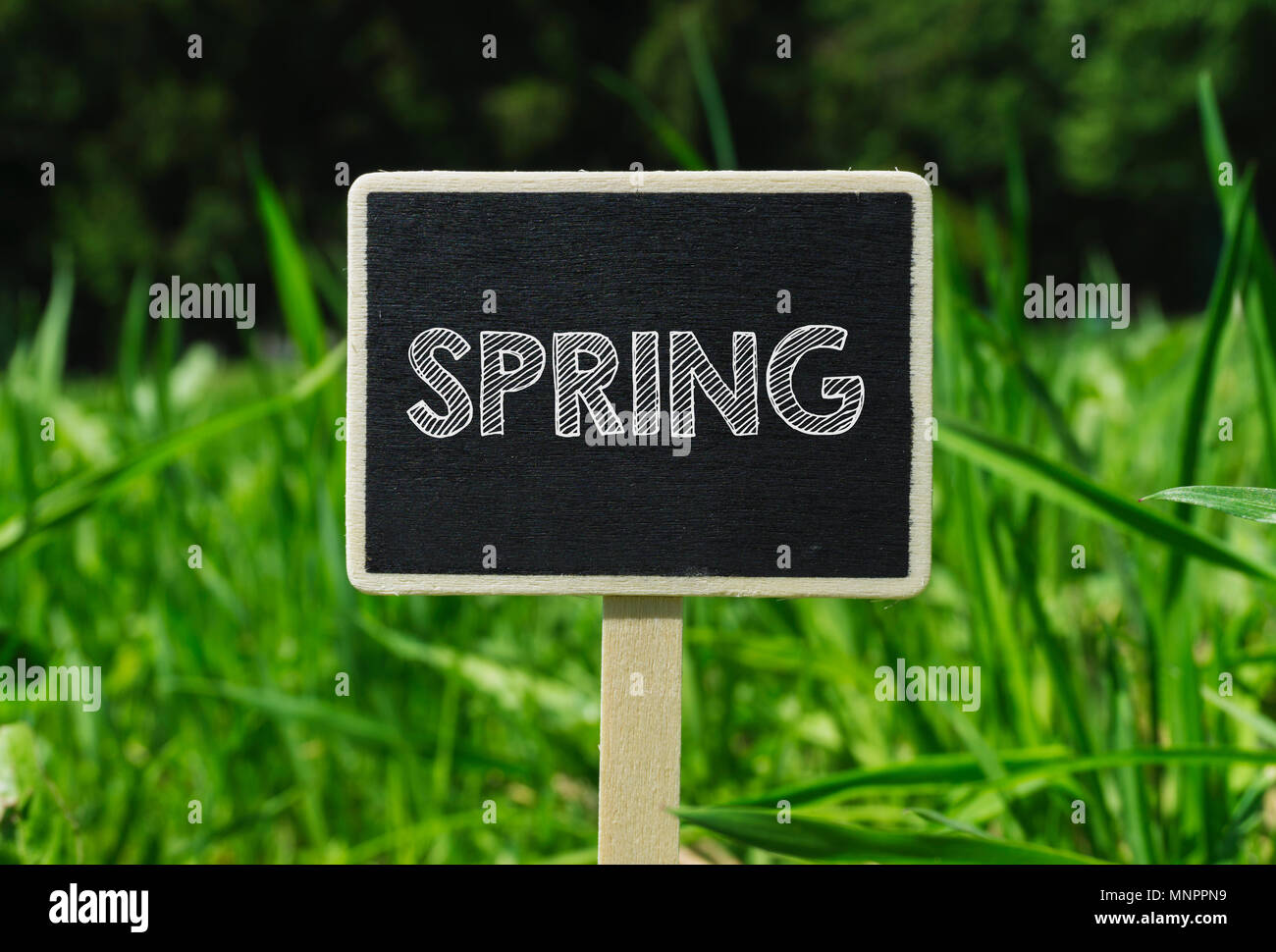 Chalk soil garden hi-res stock photography and images - Alamy