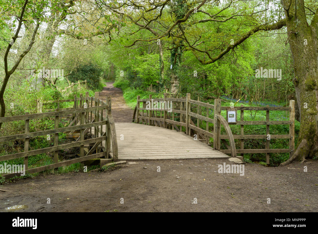Pooh bridge made famous by the author A.A. Milne in the Winnie the Pooh ...