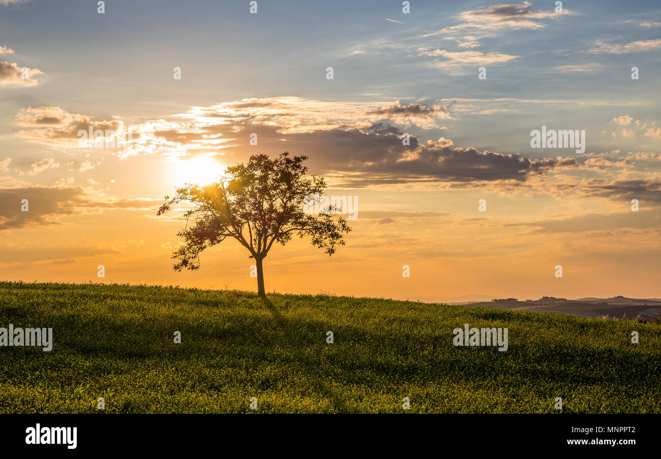 Beautiful sunset tuscany hi-res stock photography and images - Alamy