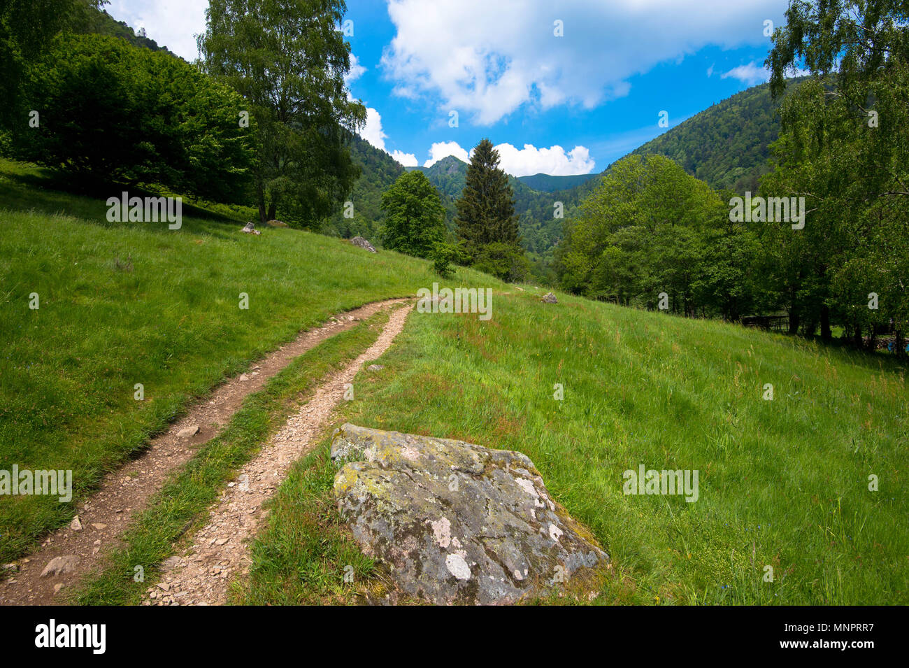 Beautiful valley of Wormsa in the Vosges mountains in france Stock ...