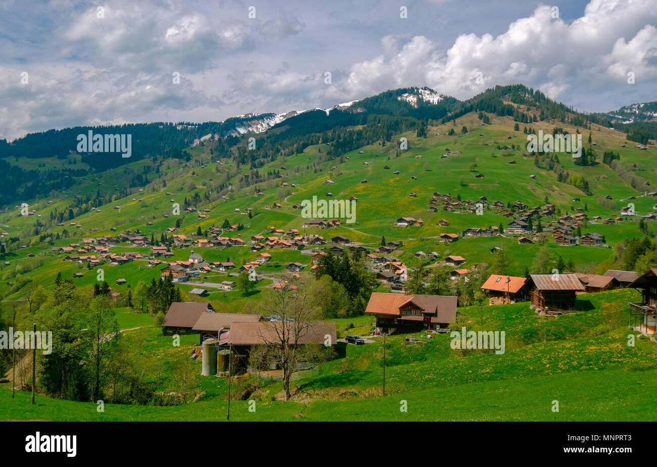 Typical Switzerland countryside landscape Stock Photo - Alamy