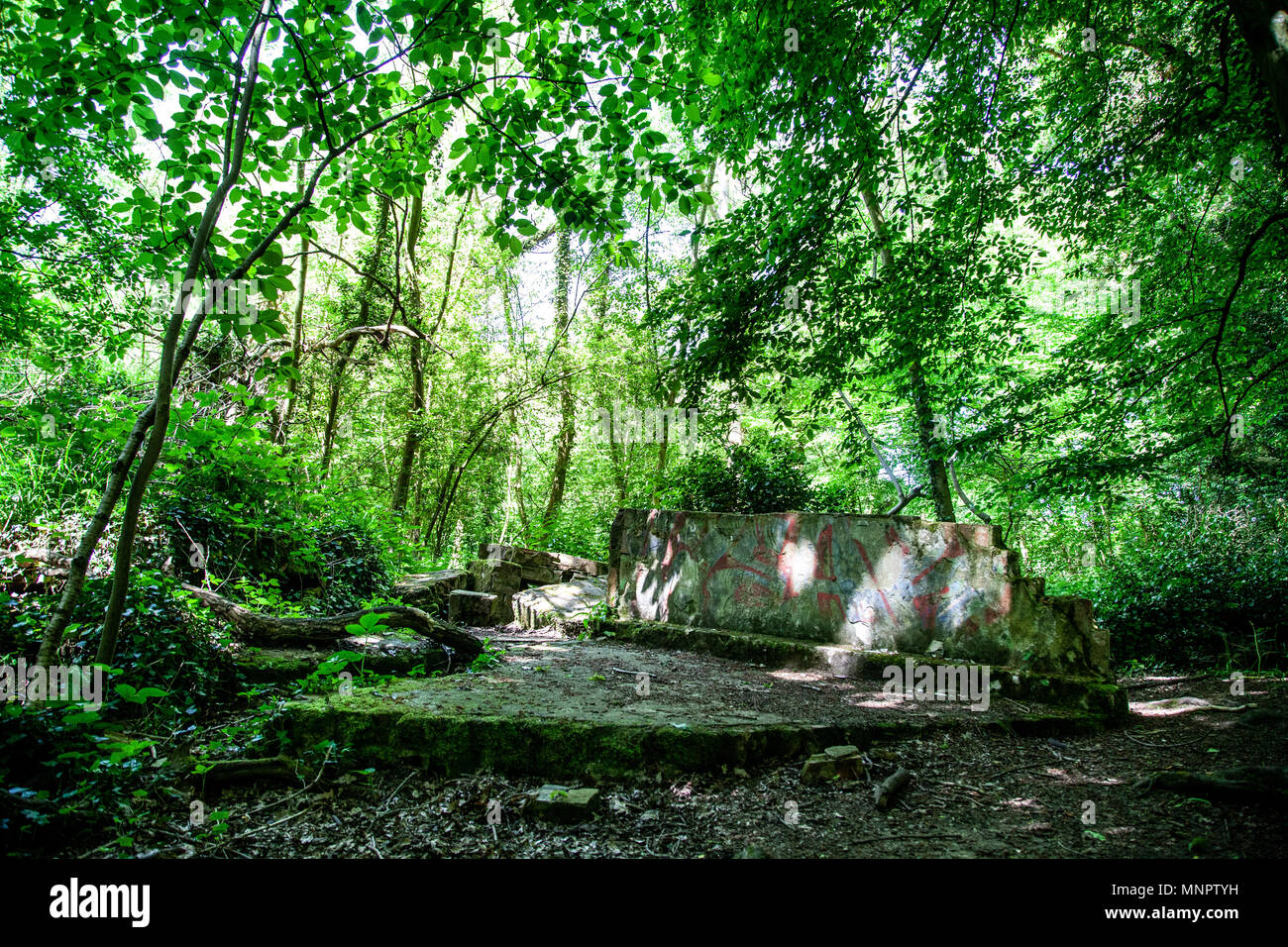 Trees and derelict building in a countryside park Stock Photo - Alamy