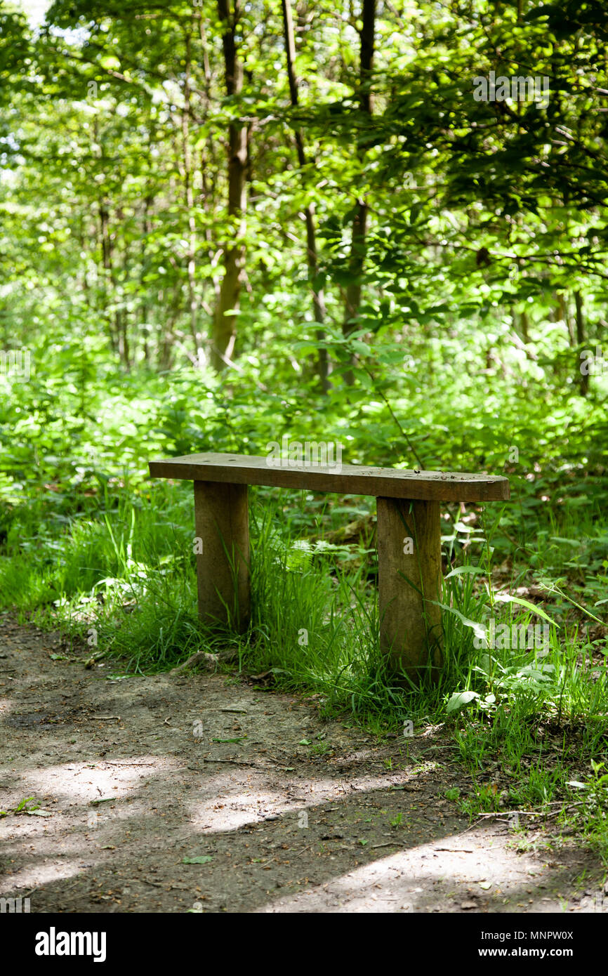 Basic wooden bench by a pathway in the woods Stock Photo - Alamy