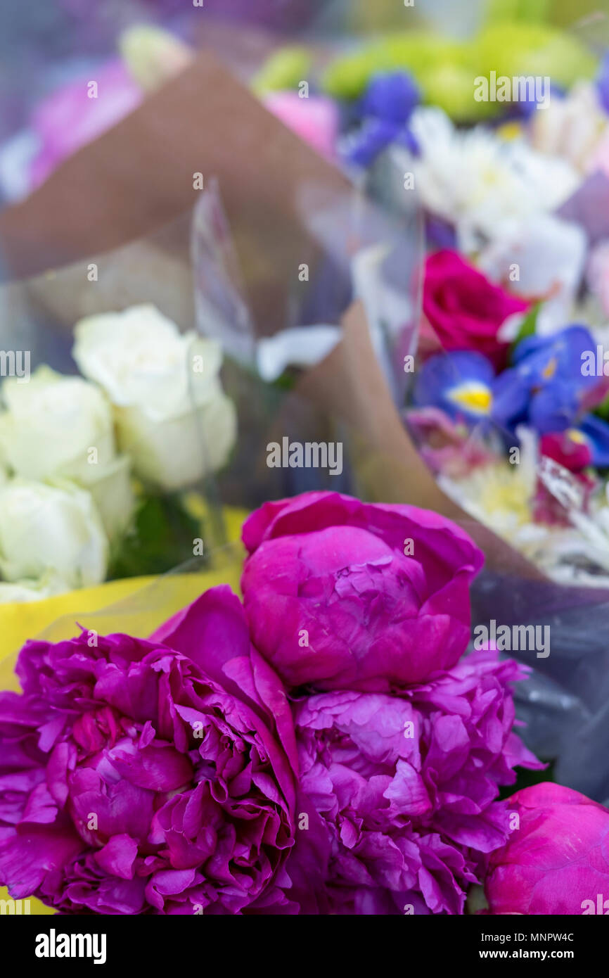 Scented displays hi-res stock photography and images - Alamy